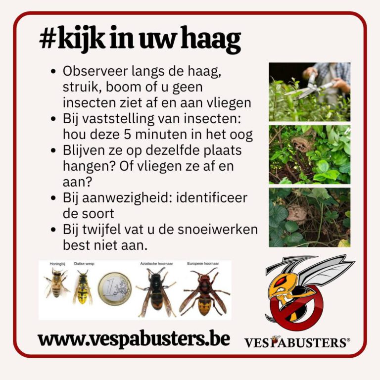 INVASIEVE EXOOT – Actuele informatie over invasieve exoten in Nederland ...